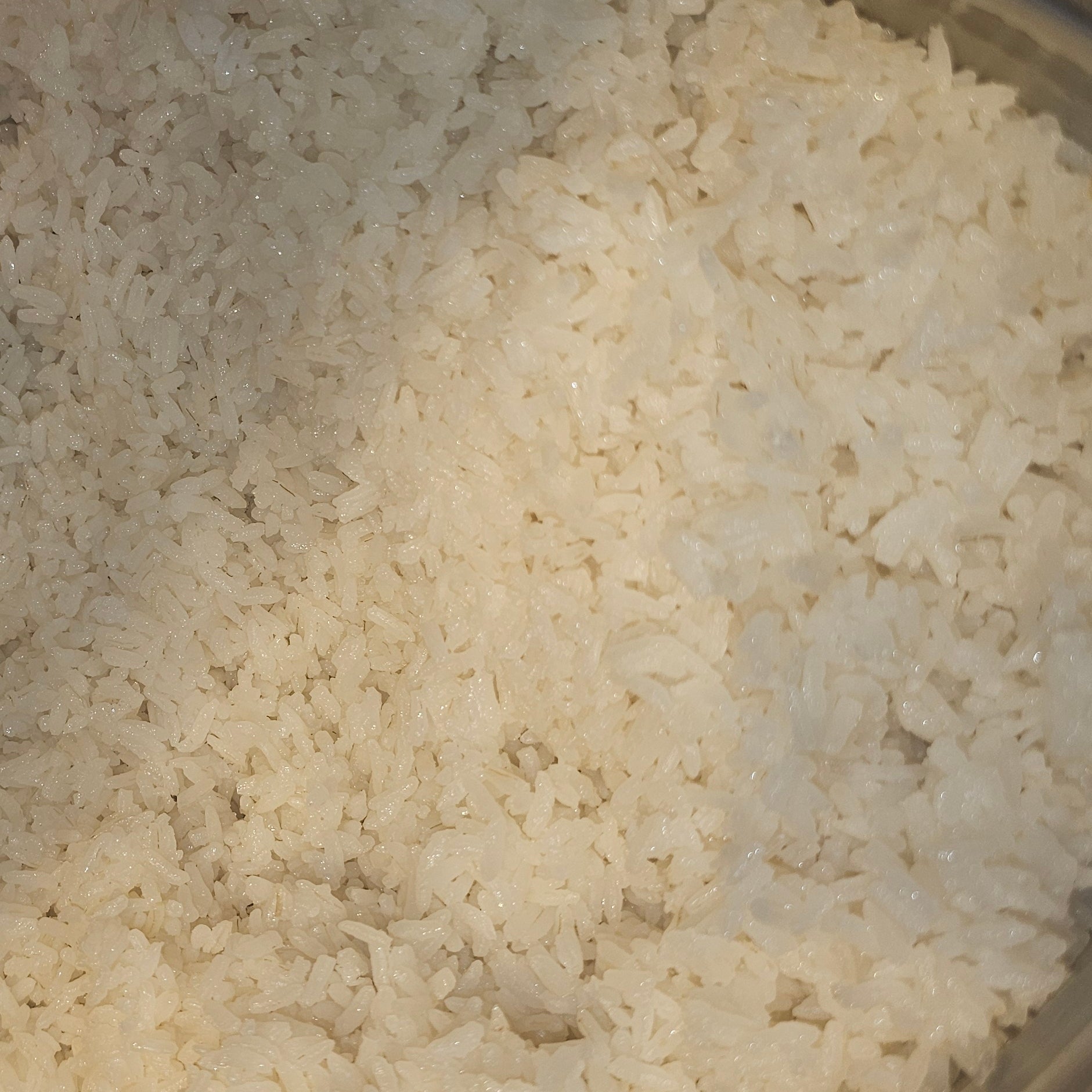 Full Tray White Rice | Adobo Latin Kitchen